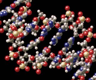 Estrutura do DNA - Resumo para Vestibular